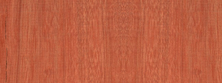 A Guide to Guitar Neck Woods - Custom Guitar Builder